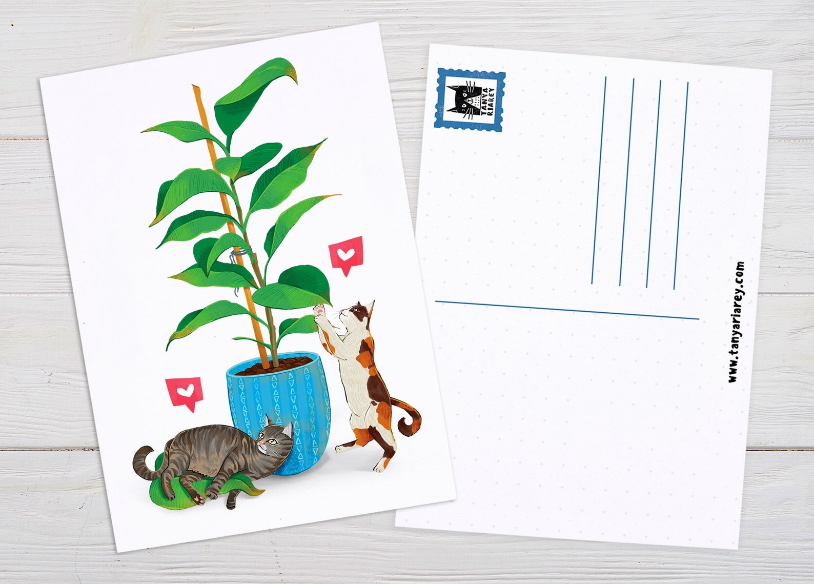 Cat Postcard Set Art Postcards Cat Art Print Cat Bookmark | Etsy