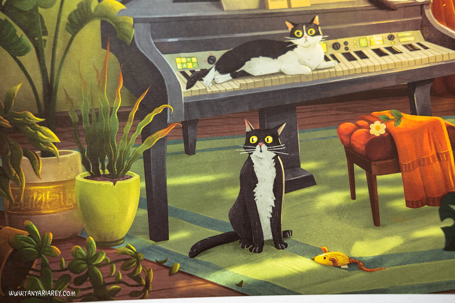 Tuxedo Cat Art Print Cat Illustration Cat Poster Cats & - Etsy