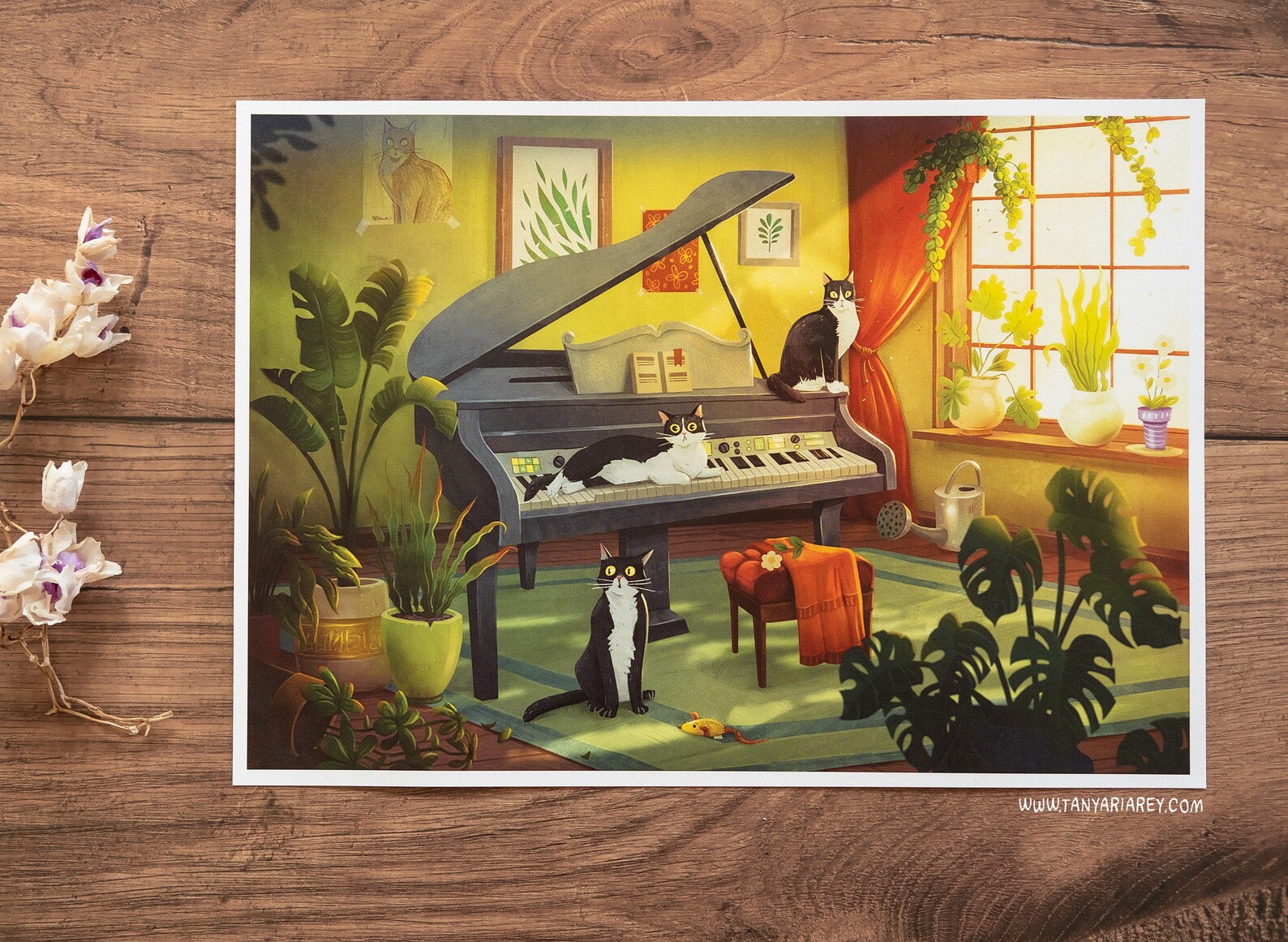 Tuxedo Cat Art Print Cat Illustration Cat Poster Cats & - Etsy