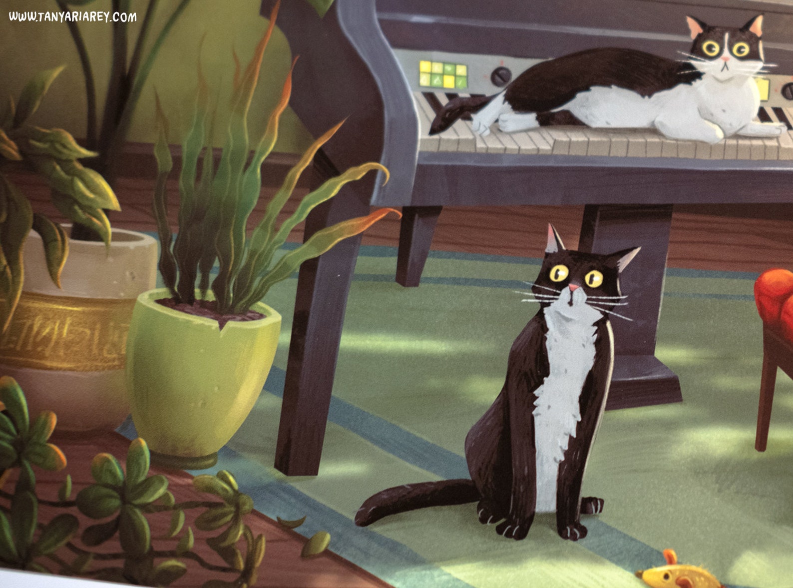 Tuxedo Cat Art Print Cat Illustration Cat Poster Cats & | Etsy