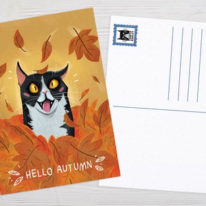 Hello Autumn Postcards Set, Tuxedo Cat Postcards, Fall Postcards ...