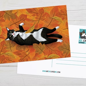 Hello Autumn Postcards Set, Tuxedo Cat Postcards, Fall Postcards ...