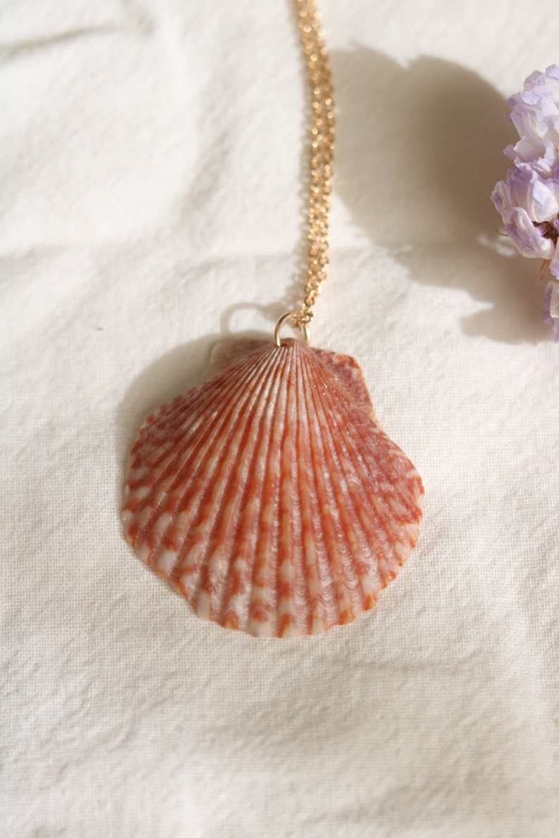 Seashell Necklace / Jewelry / Dainty Gold Necklace - Etsy