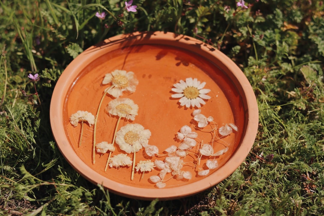 Terracotta Coaster / Resin / Pressed Flowers / Home Decor - Etsy