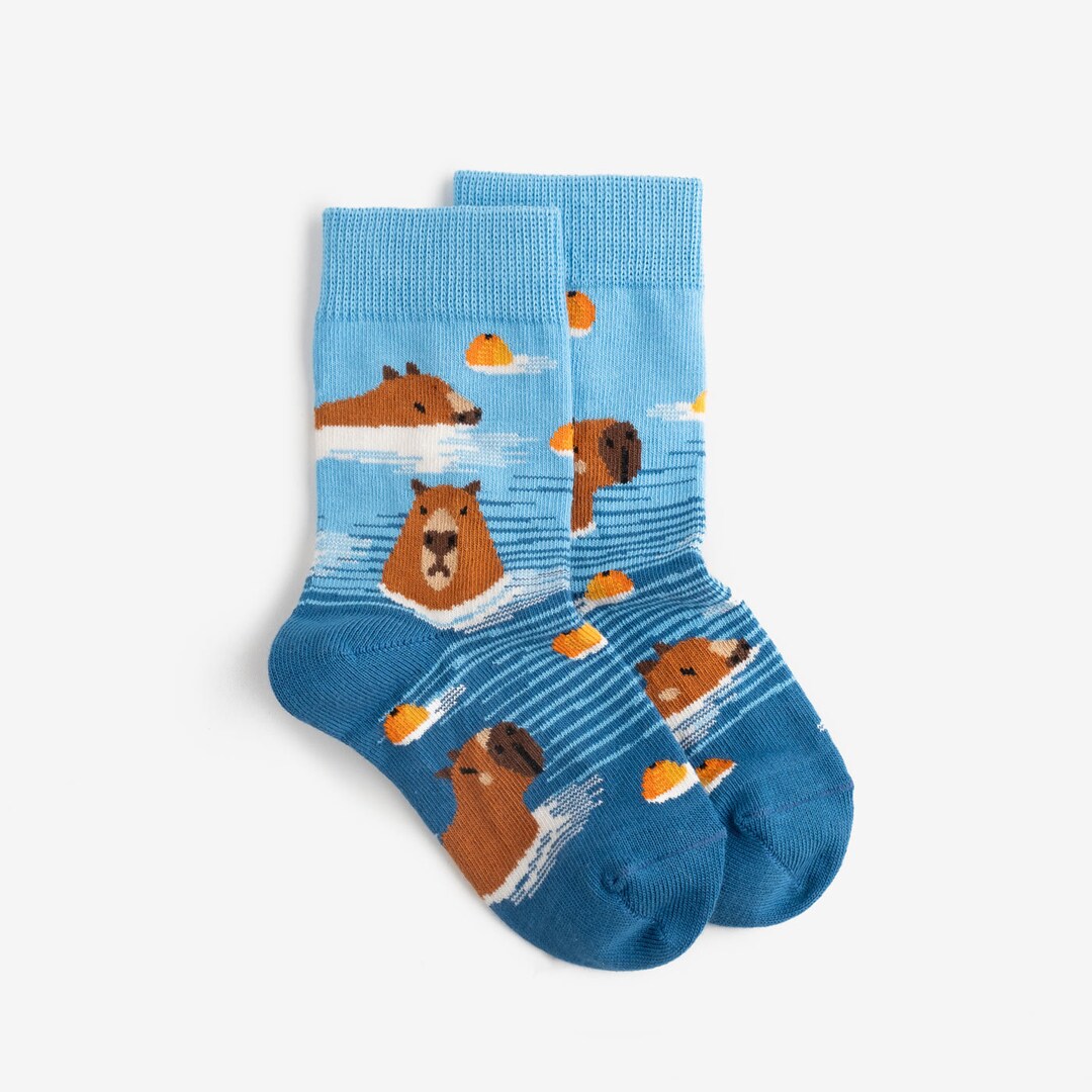 Capybara Colorful Socks for Kids Gift for Kids Support Ukrainian ...