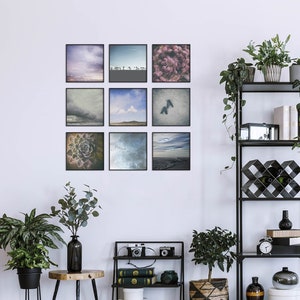 Set of Nature Prints, Nature Prints Gallery Print Set, Nature Gallery ...