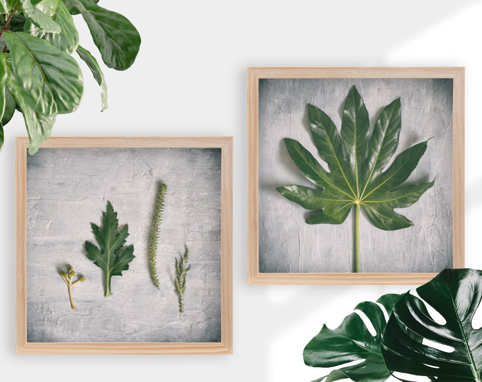 Greenery Print Set, Square Print Set of 2, Leaf Print Set, Botanical ...