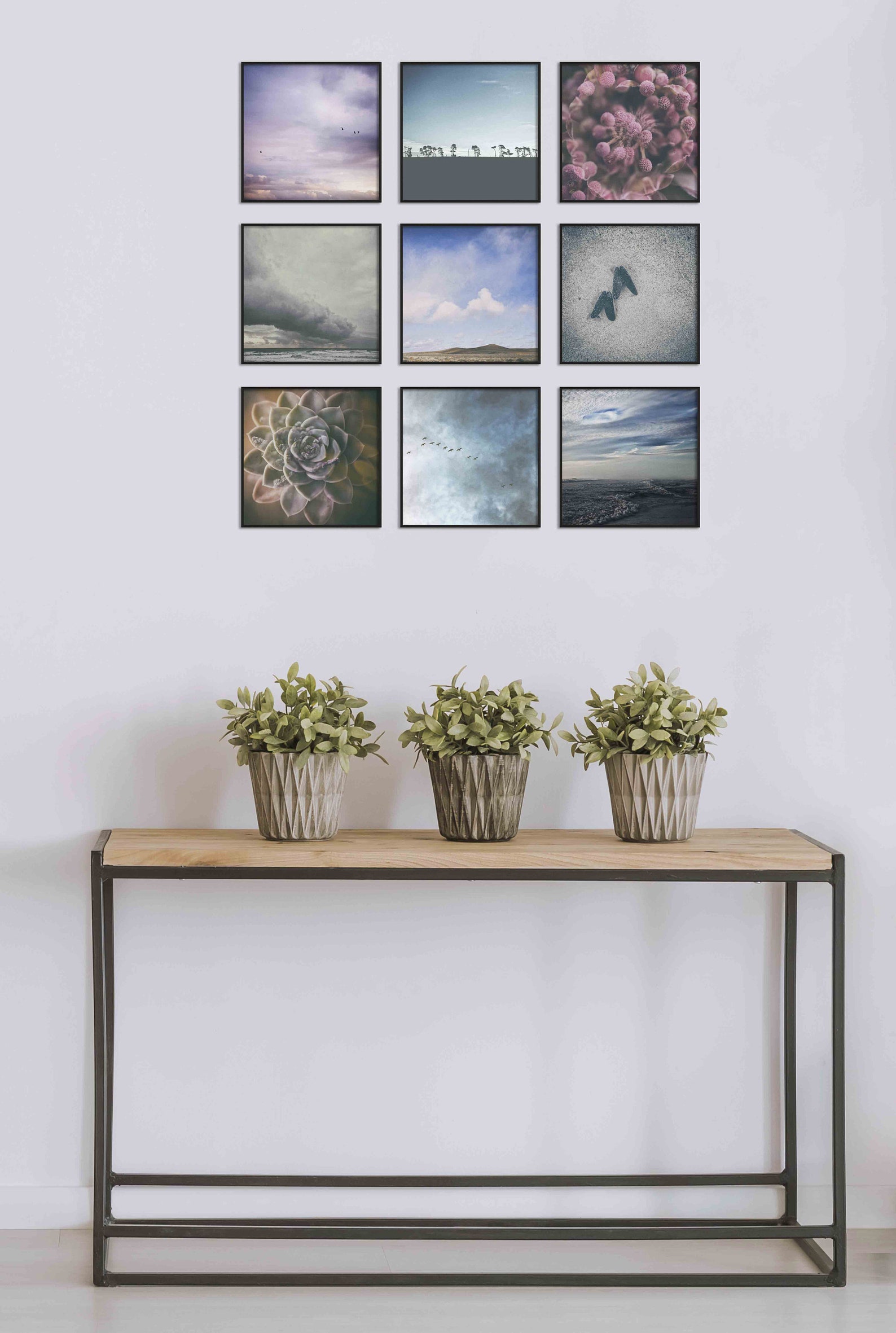 Set of Nature Prints, Nature Prints Gallery Print Set, Nature Gallery ...