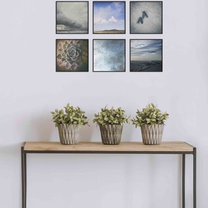 Set of Nature Prints, Nature Prints Gallery Print Set, Nature Gallery ...