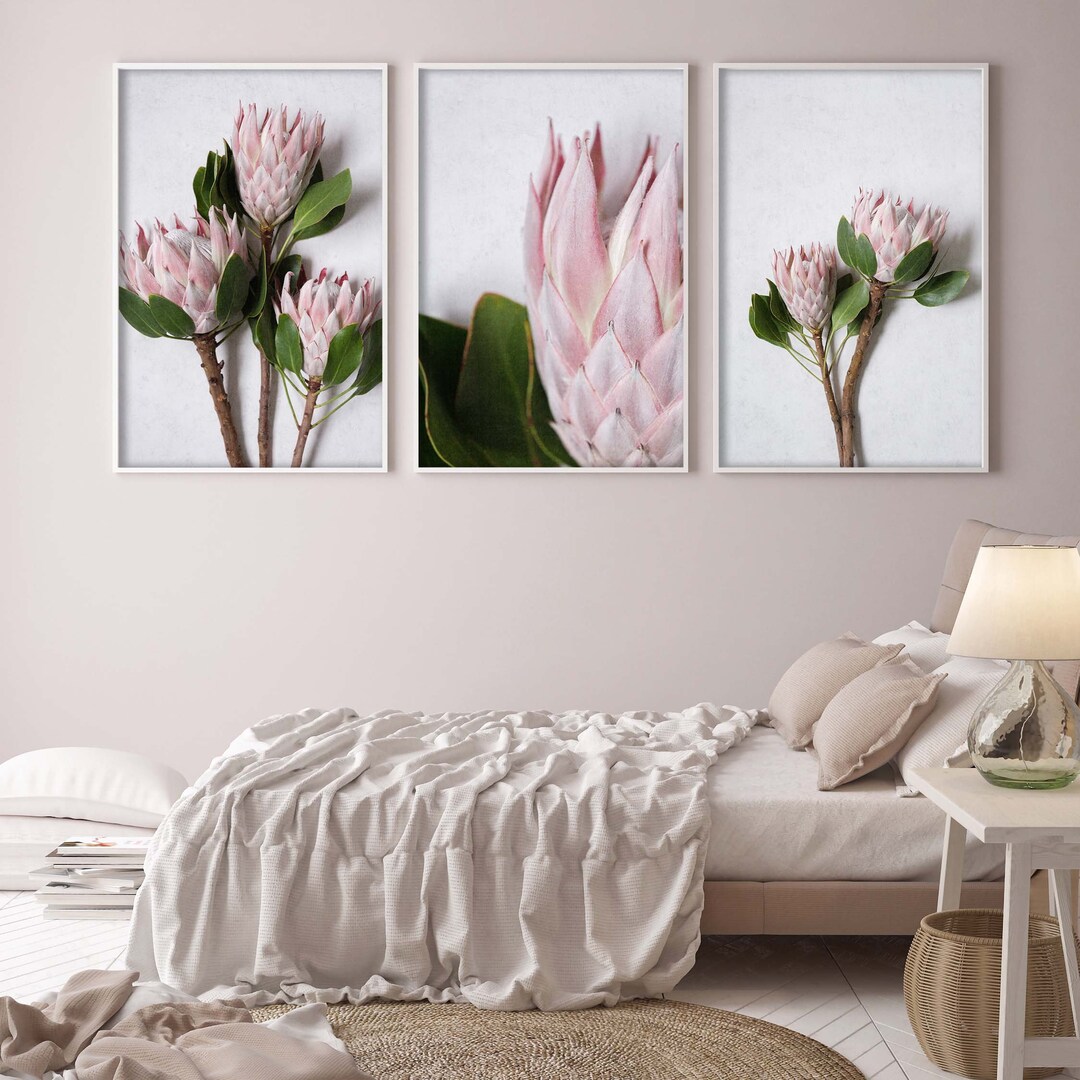 King Protea Print Set of 3, Blush Pink King Protea Wall Art, Protea ...
