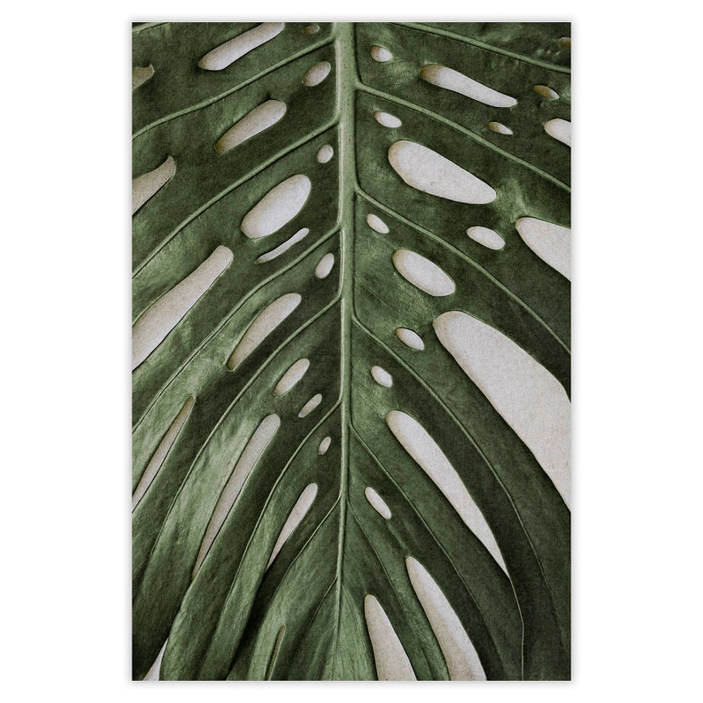 Tropical Monstera Delicious & Strelitzia Leaf Wall Art Print Set ...