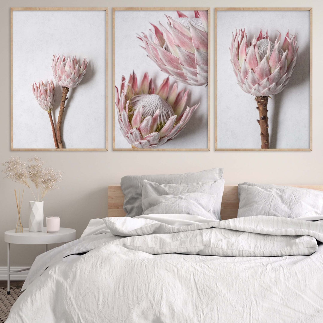 Minimalist King Protea Wall Art Print Set of 3, Pink King Protea Prints ...