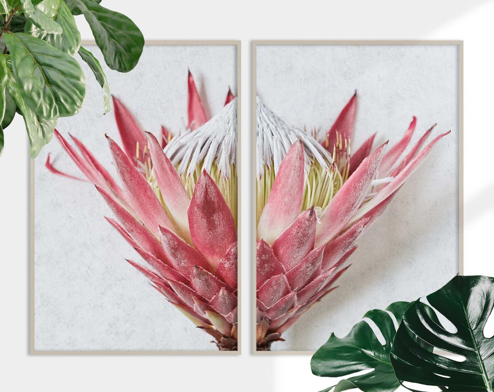 Minimalist Red King Protea Wall Art Set of 2, Protea Wall Art, Red ...