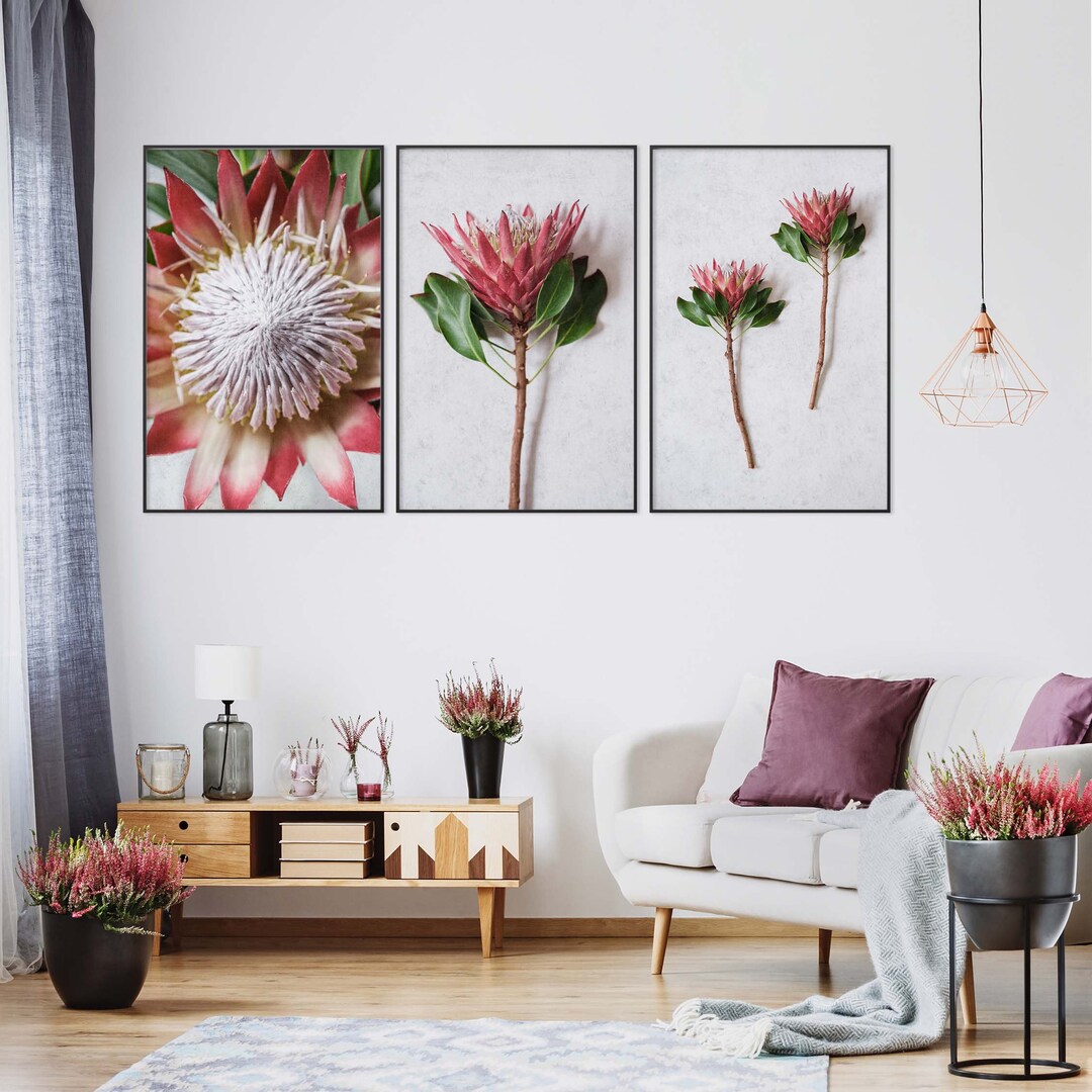 Madiba King Protea Wall Art Print Set of 3, Red King Protea Prints ...