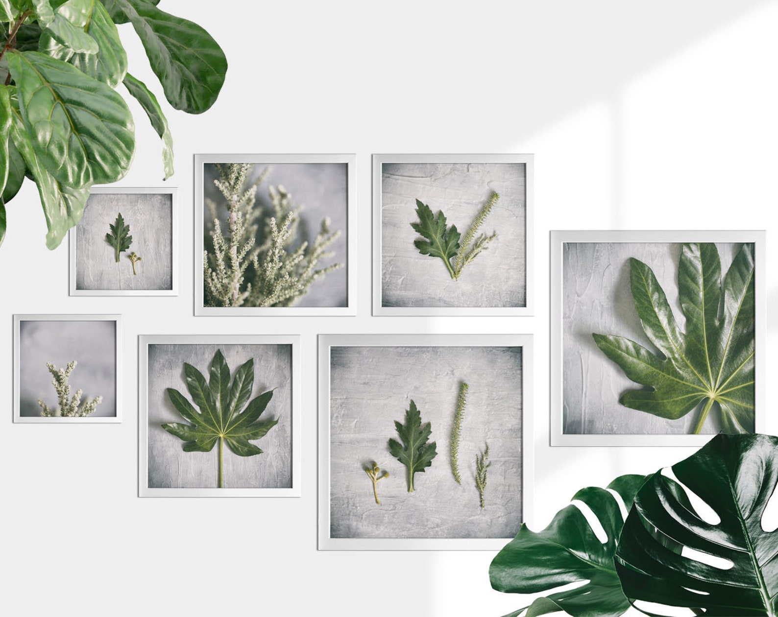 Plant Prints Wall Art Leaf Wall Art Leaves Wall Art - Etsy