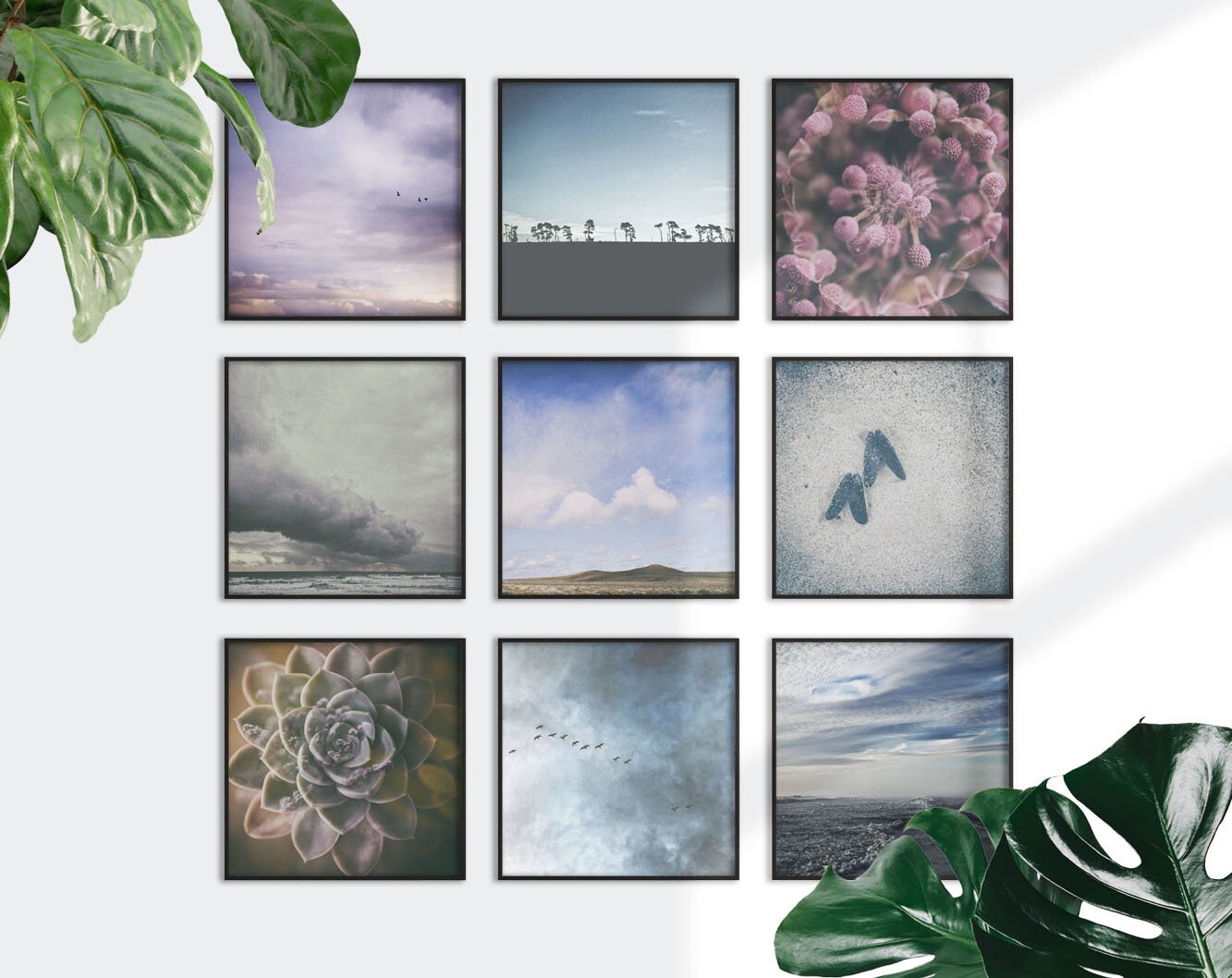 Set of Nature Prints, Nature Prints Gallery Print Set, Nature Gallery ...