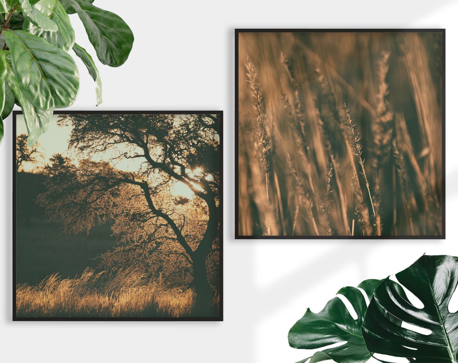 Kalahari Sunset Poster Print Kalahari Desert Savanna Wall - Etsy