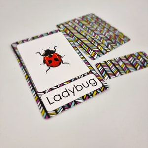 INSECTS Montessori Learning Flashcards, Flash Cards for Kids ...