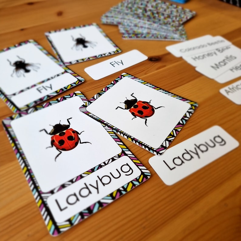 INSECTS Montessori Learning Flashcards, Flash Cards for Kids ...