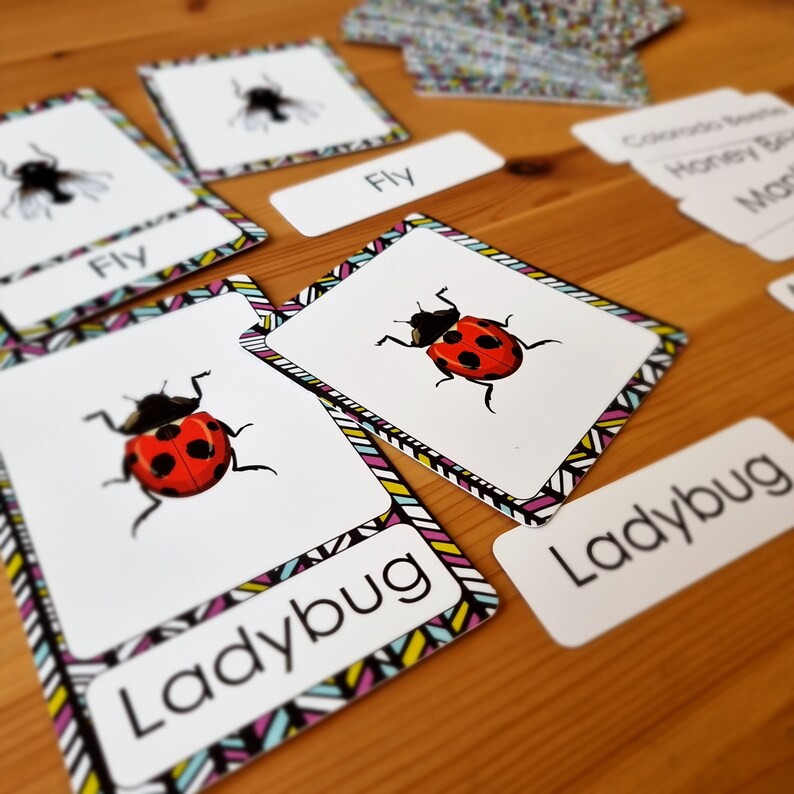 INSECTS Montessori Learning Flashcards, Flash Cards for Kids ...