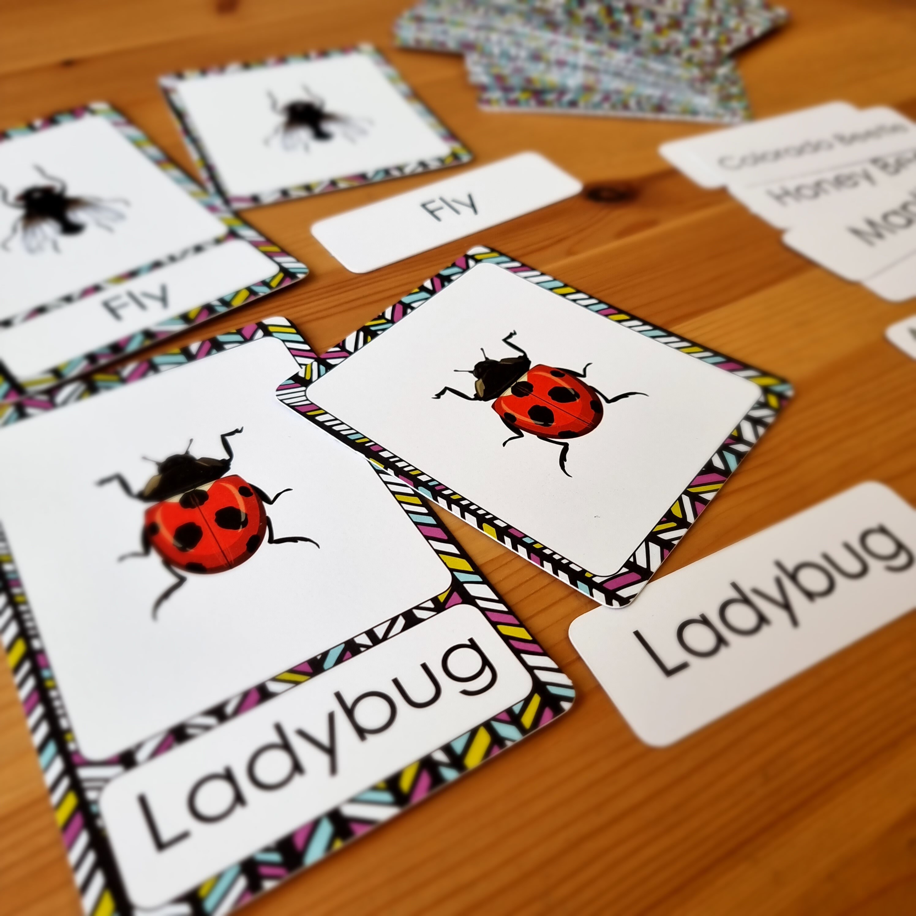 INSECTS Montessori Learning Flashcards, Flash Cards for Kids ...