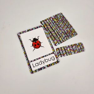 INSECTS Montessori Learning Flashcards, Flash Cards for Kids ...
