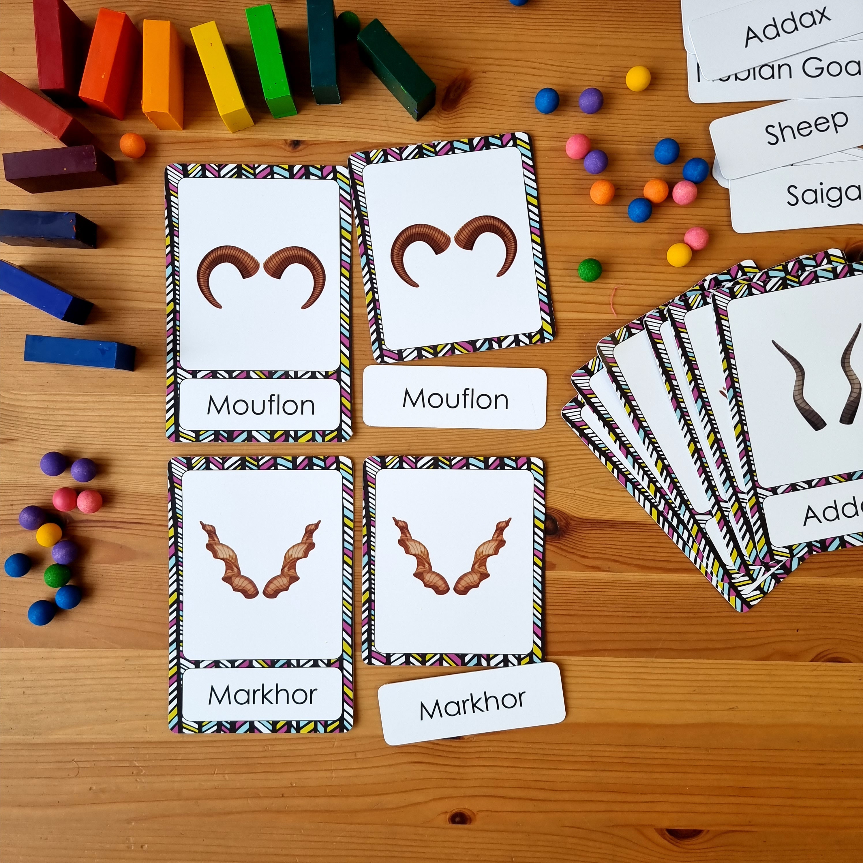 Learning & School ANIMAL HORNS \u2022 16 Montessori Cards \u2022 Flash ...