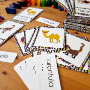 Desert Animals Montessori Learning Flashcards, Printable, Instant ...