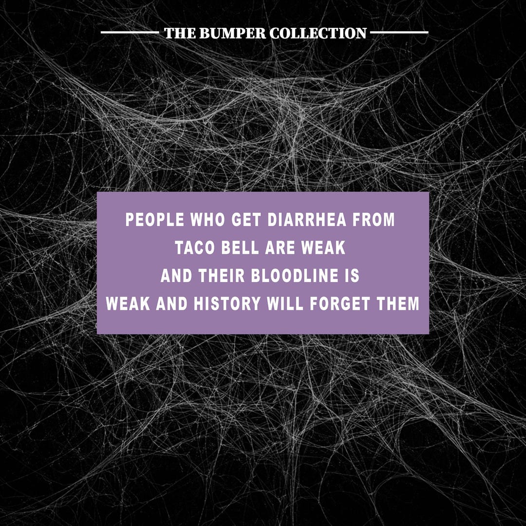Funny Taco Parody Bumper Sticker – Weak Stomach Bloodline Joke – 7x3 ...