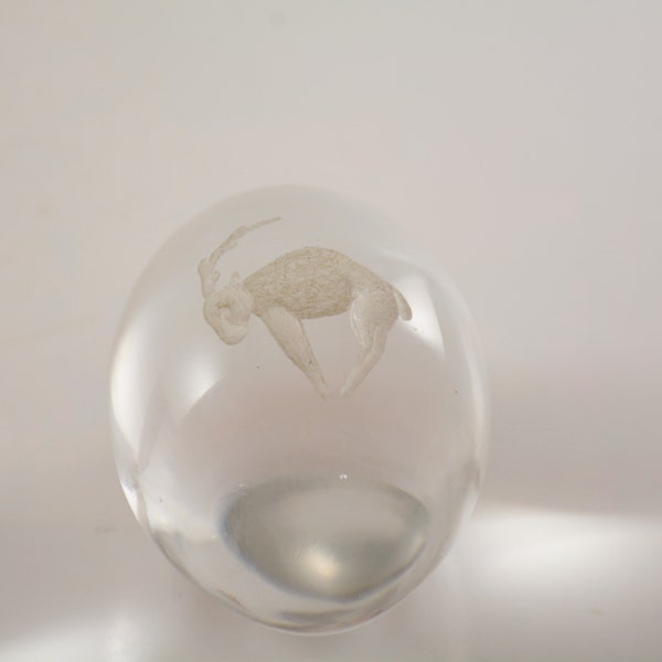 Jackrabbit Eggs - Etsy