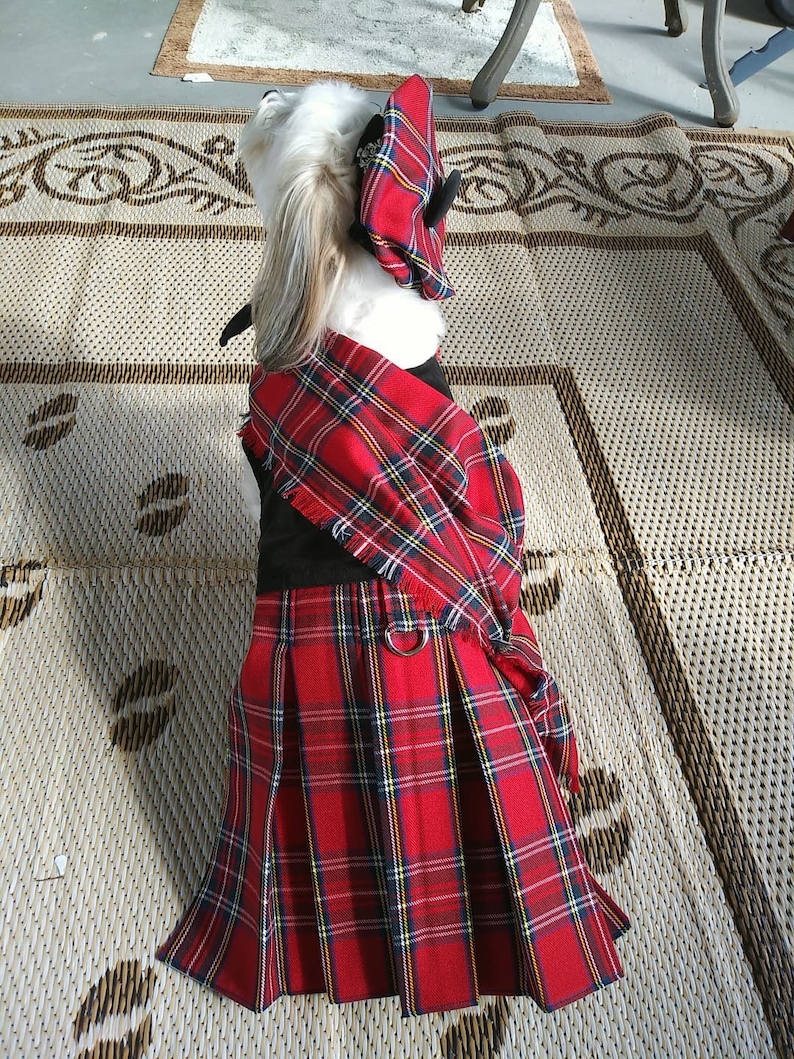 Kilt With Tam Hat and Sash: Scottish Pet Costume - Etsy