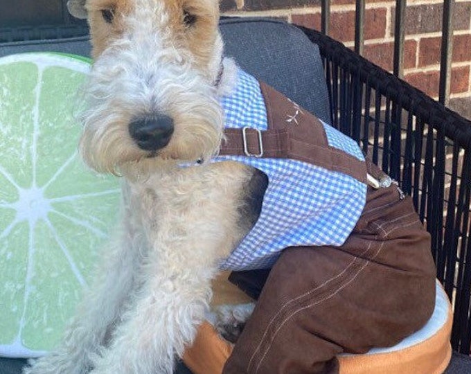 Lederhosen Dog Outfit, German Oktoberfest Harness Vest C, Pants, and ...