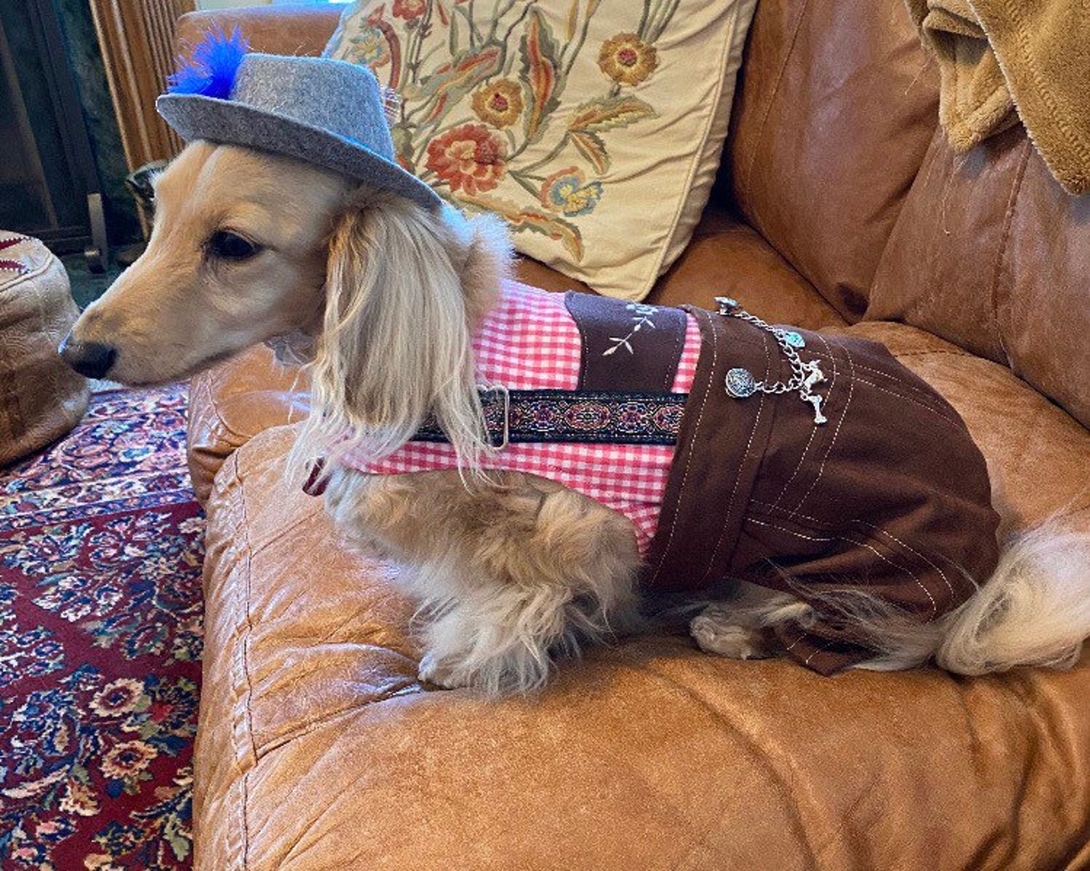 BEST SELLER: Chien Lederhosen Dog Vest Dog Pants Vêtements | Etsy