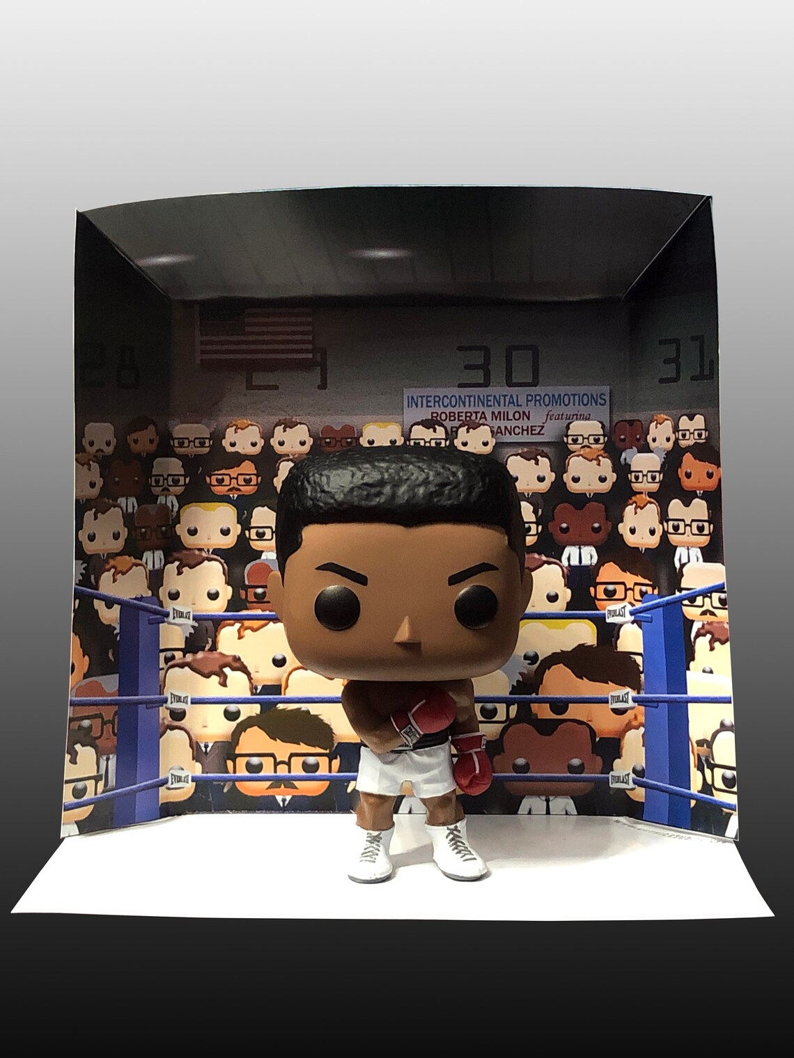 Funko Pop Boxing & Wrestling Ring Background WWE UFC Ali Rocky - Etsy