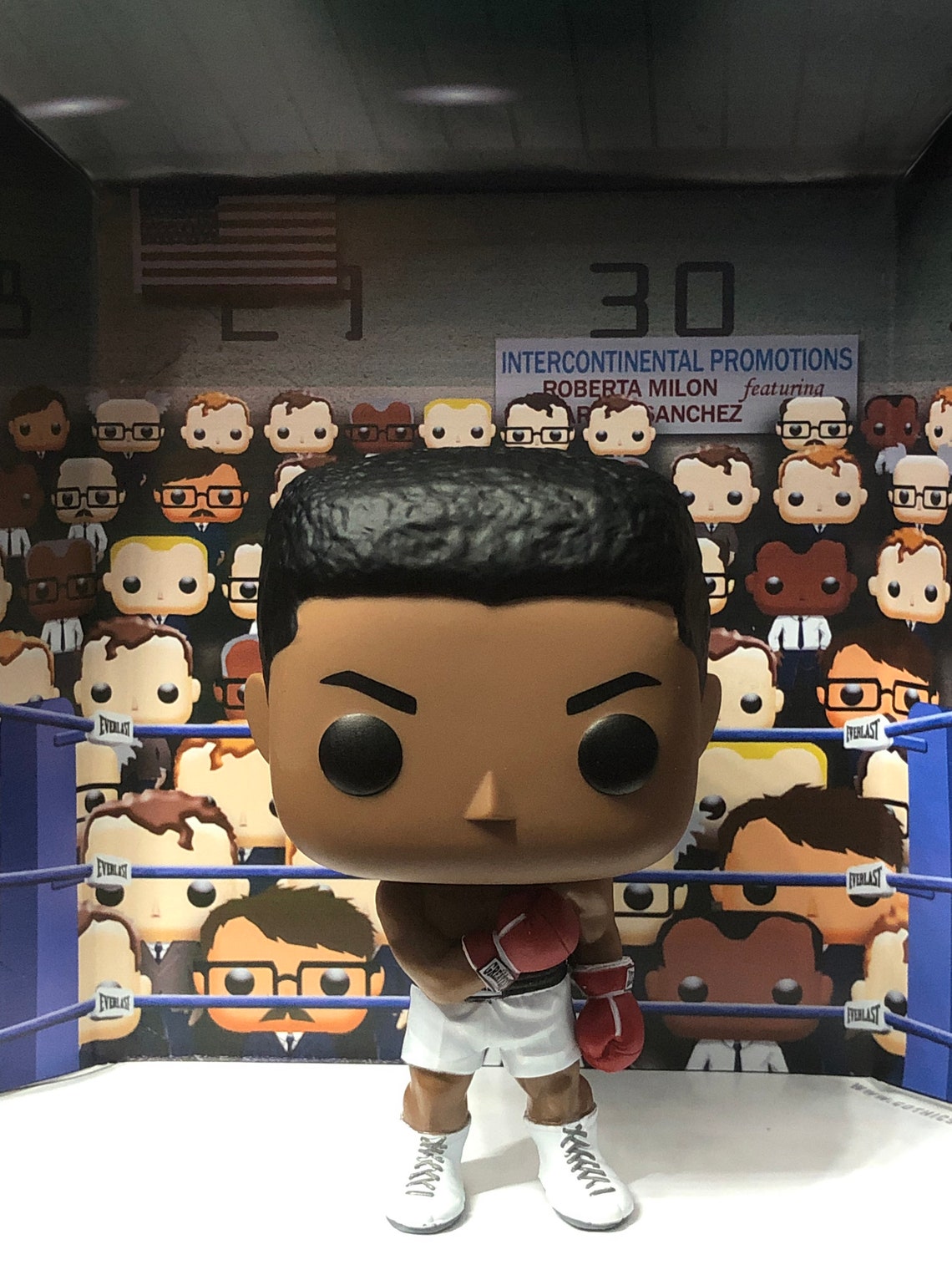 Funko Pop Boxing & Wrestling Ring Background WWE UFC Ali Rocky | Etsy