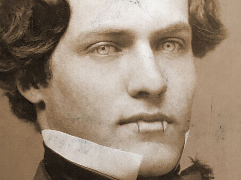 Freak Show Poster the Southern Vampire 24x36 - Etsy