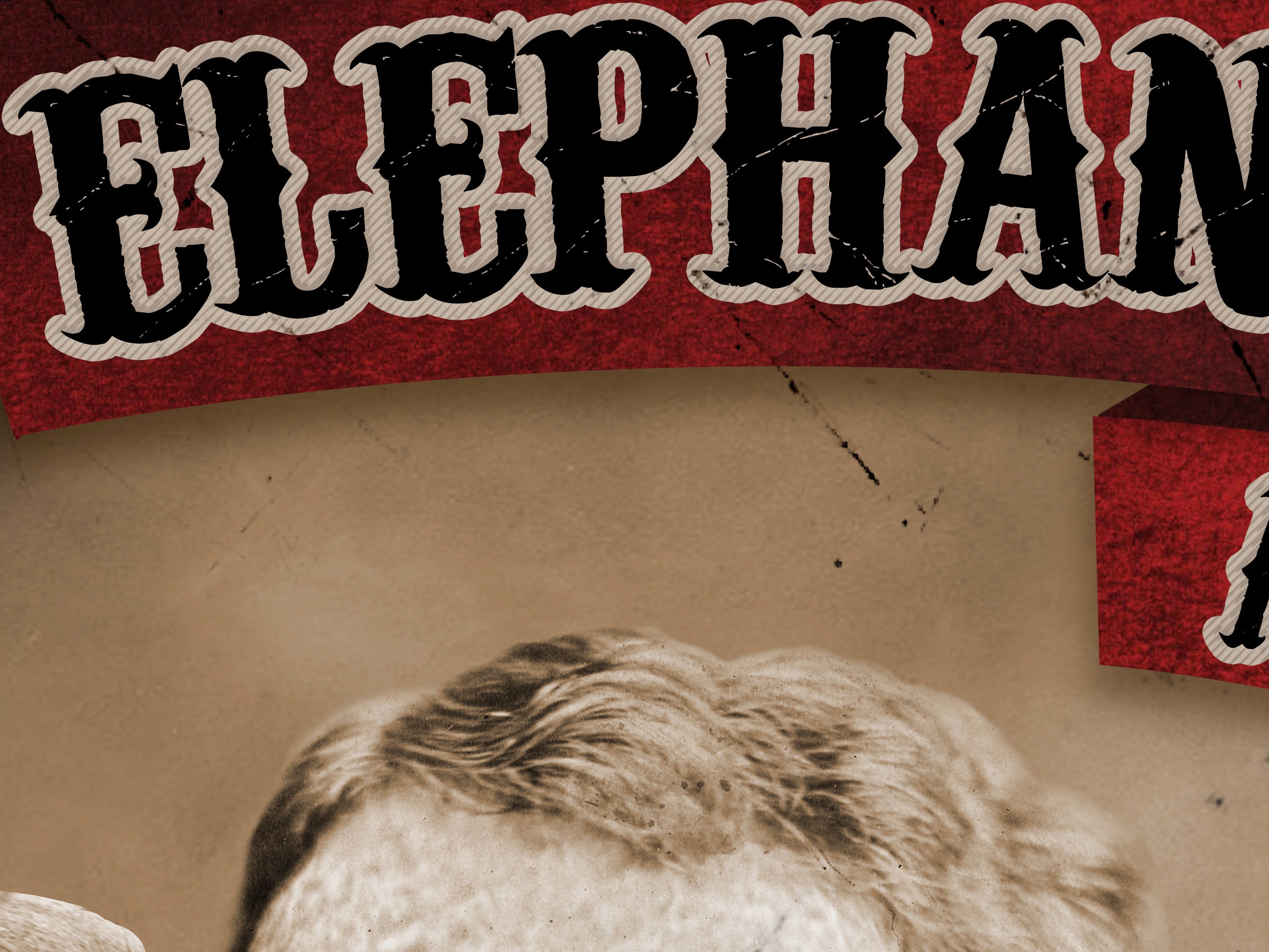 The Elephant Man Play Poster