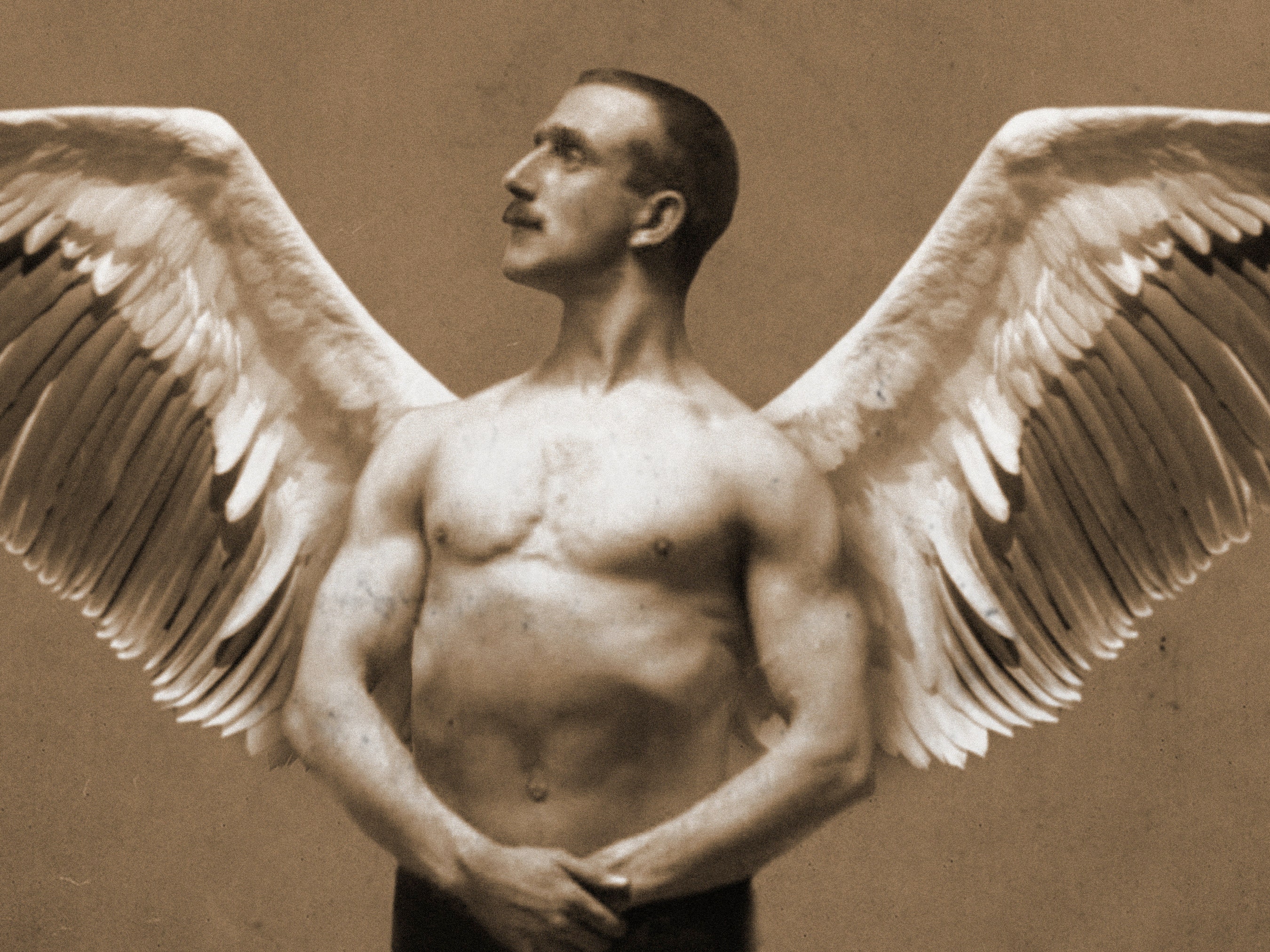 The Human Condor - Freak Show & Circus Posterwing - Etsy