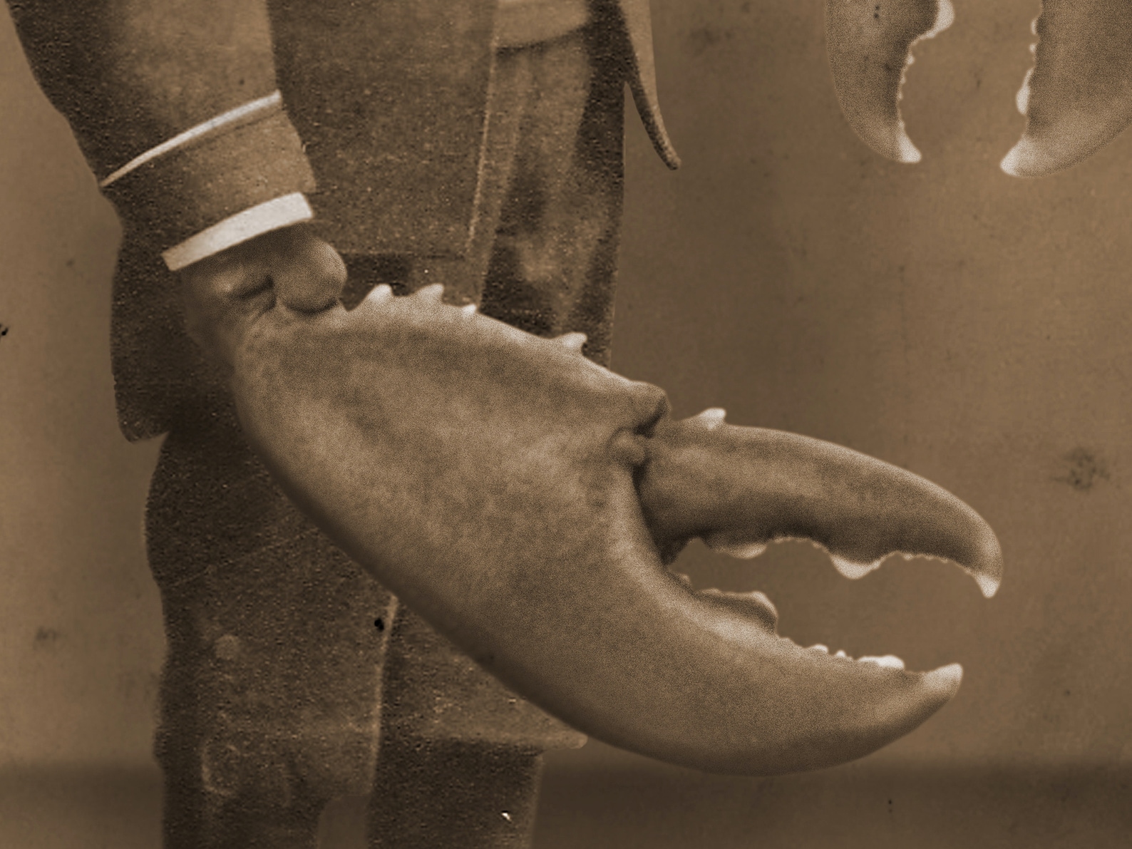 The Lobster Boy Freak Show & Crcus Poster - Etsy