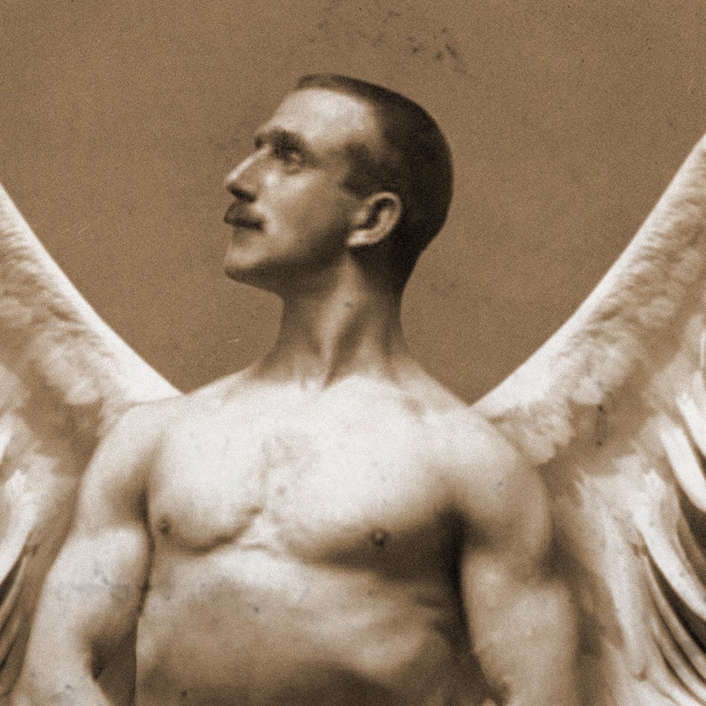 Freak Show Poster The Human Condor 8x10 | Etsy