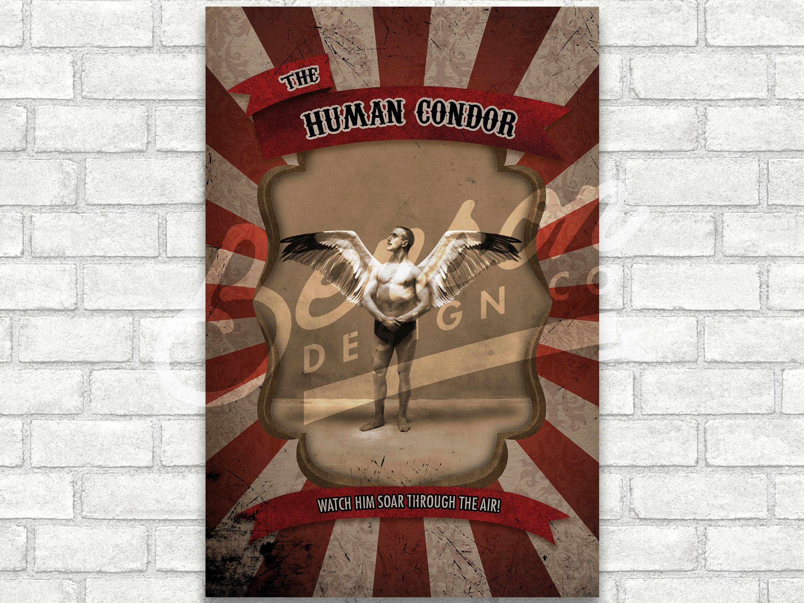 The Human Condor - Freak Show & Circus Posterwing - Etsy