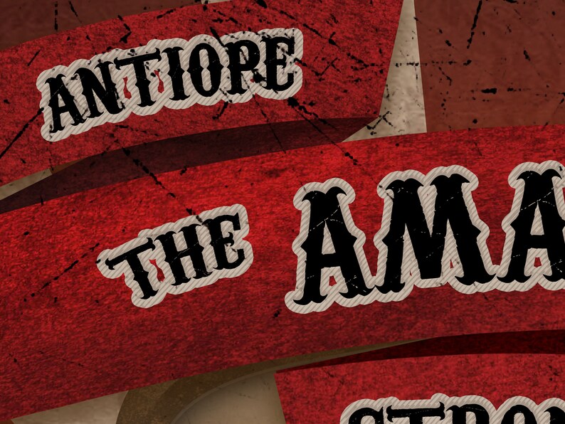 Antiope the Amazonian Strong Woman - Etsy