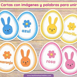 Spring Matching Cards in SPANISH: Colors, Numbers and Sizes ...