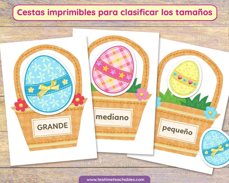 Spring Matching Cards in SPANISH: Colors, Numbers and Sizes ...