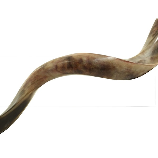 Shofar - Etsy