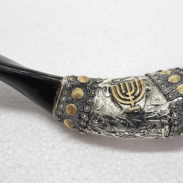 Shofar - Etsy