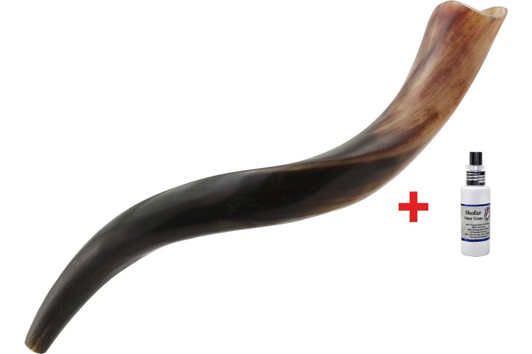 High Quality Yemenite Kudu Shofar - Polished 20”-24” + Free Anti Odor ...