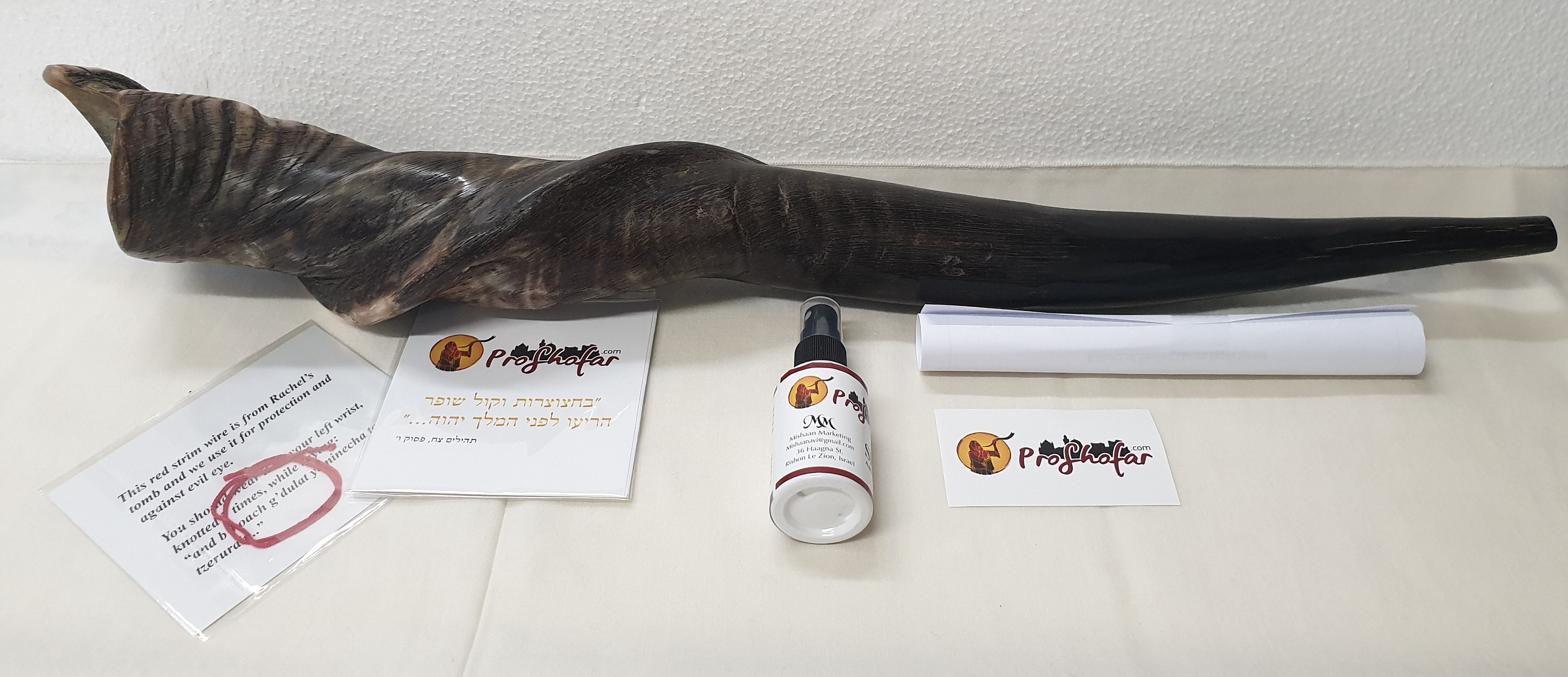 XL Unique Male Eland Shofar Set From the Holy Land - Half Polished ...