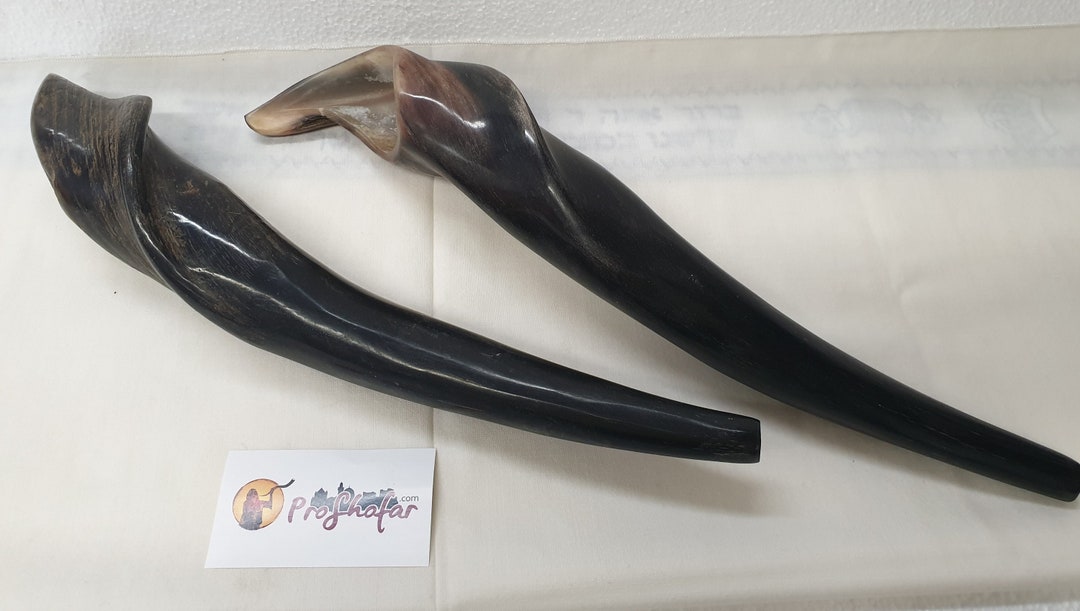 S Unique Female Eland Shofar Set From the Holy Land - the White Brand ...