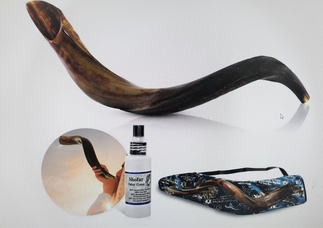 Kodu Shofar Set of Shofar + Shofar Bag + Anti Odor Spray + Red Strim ...